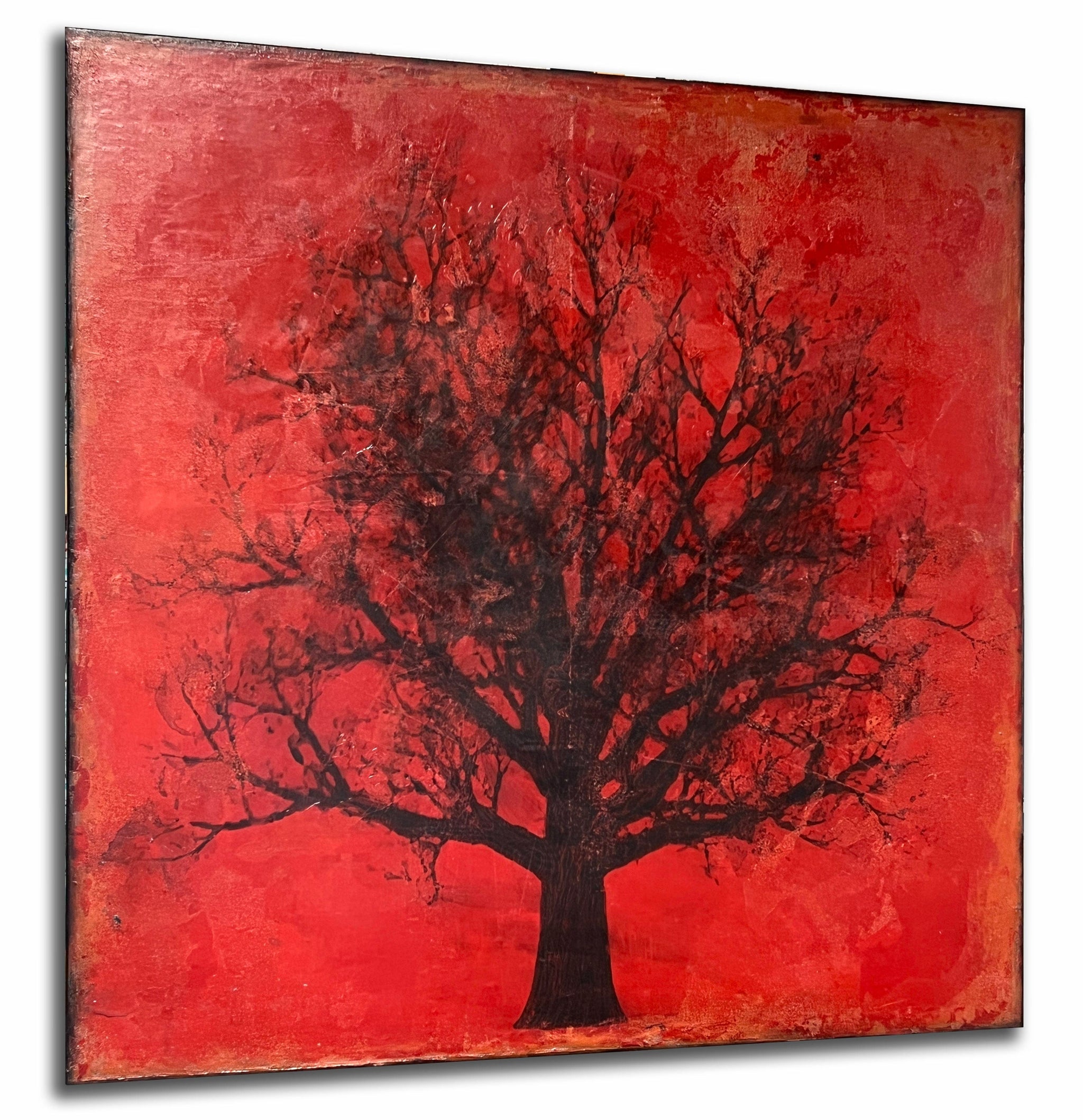 Another Old Red Oak | 48"x48"